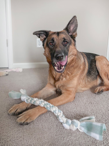W&W Signature Dual Knot Rope Toy (Large) | Woof and Willow Co.