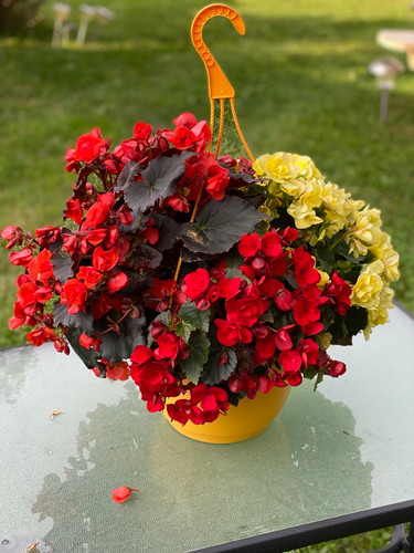 Fireball | Blue Spade