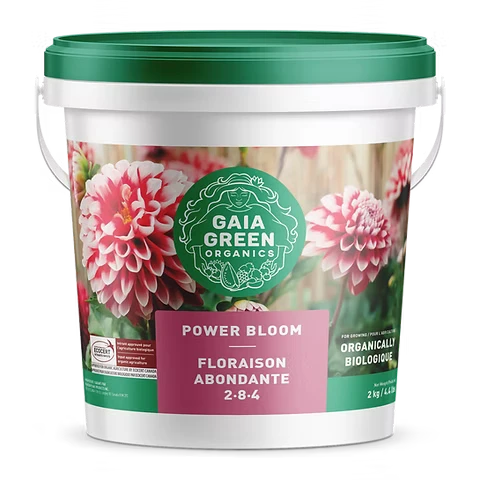 Power Bloom Gaia Green 2-8-4 (2KG) | Blue Spade