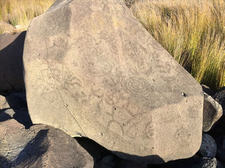 2: The real Tangata Whenua