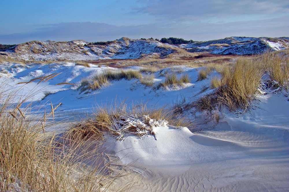 Ferienhaus Lützen - Nebel auf Amrum im Winter