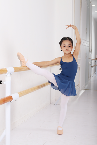 Ballet Leotard with Skirt Indigo | dttrol