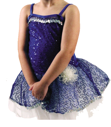 Starry Night Costume | dttrol