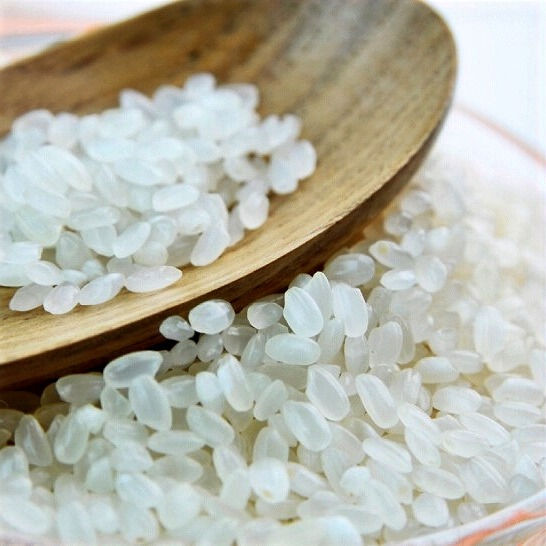 JUTRADE | ALL PRODUCTS | Japanese Food Supplier in Singapore ...