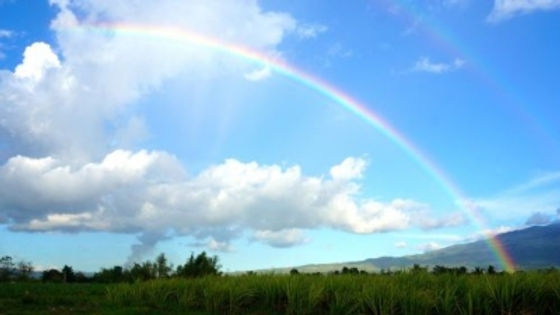 The Flood and The Rainbow