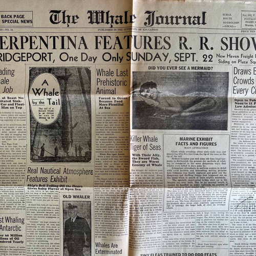 Incredible original Vintage Journal | Merchants of the Sea