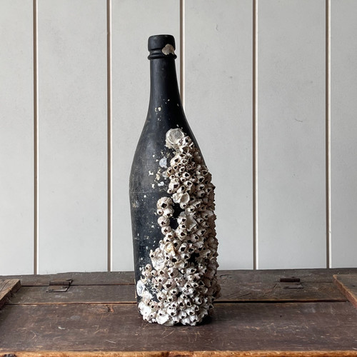 Barnacle Bottle | Merchants of the Sea