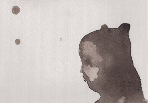 Bear | David Begley