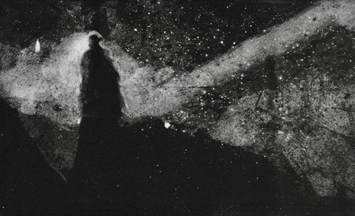 From a low light | David Begley