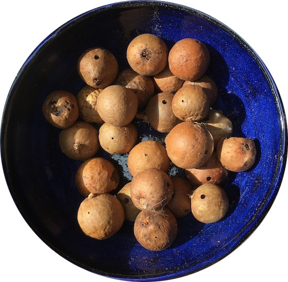 Making ink with David Begley