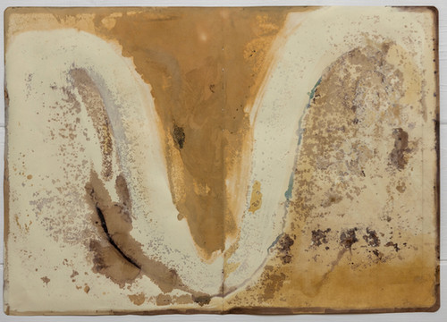 Where the river ran | David Begley