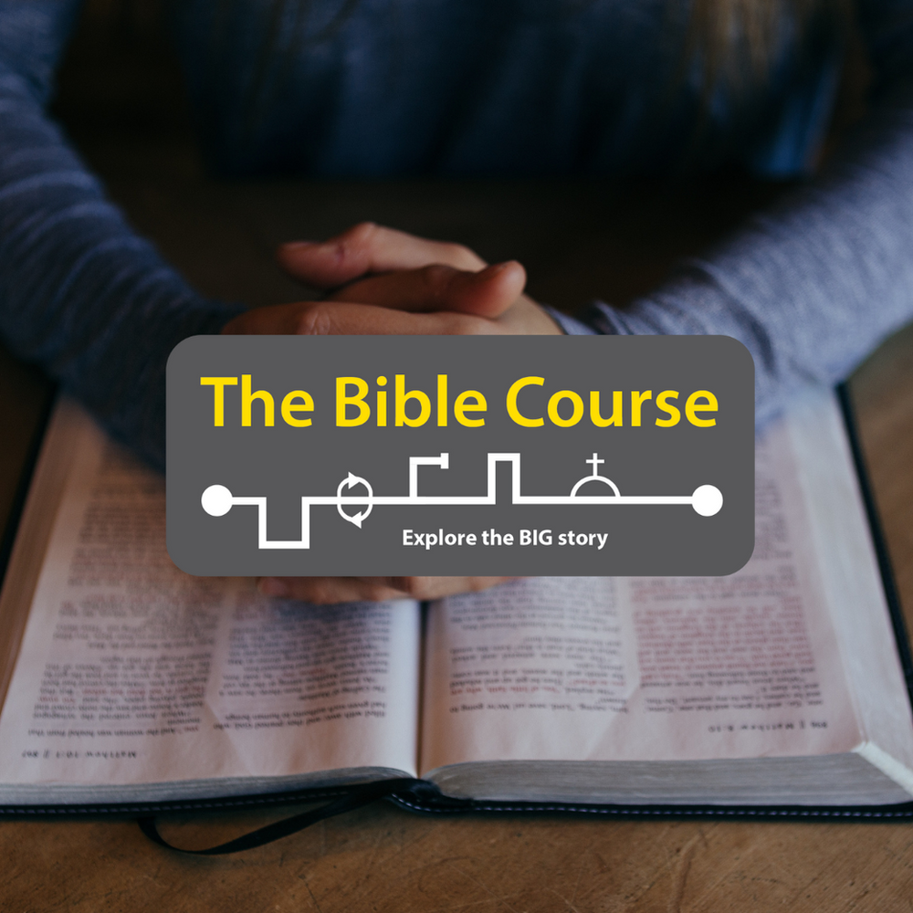 The Bible Course