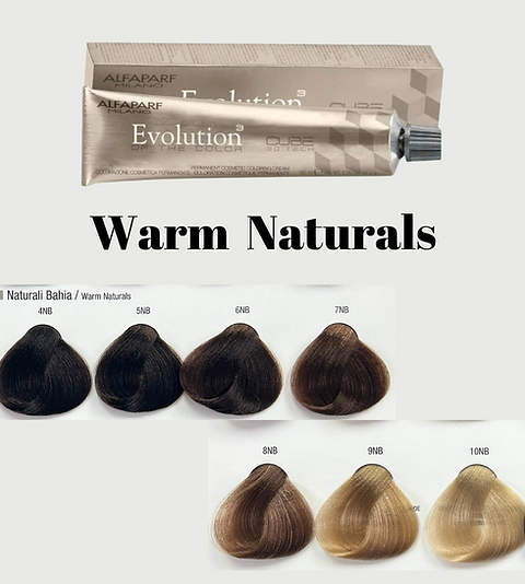 Evolution Hair Color Chart