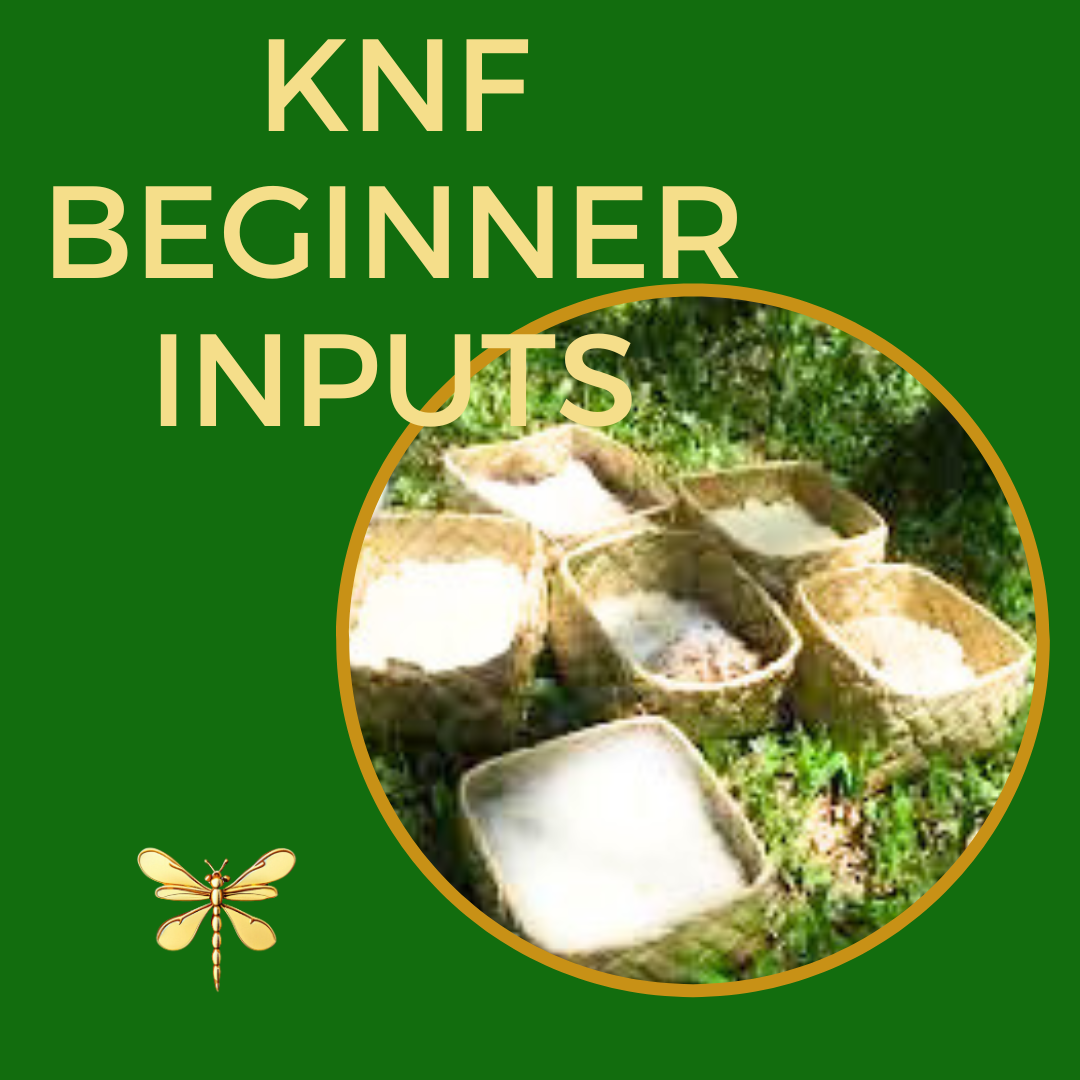 KNF INPUTS FOR BEGINNERS