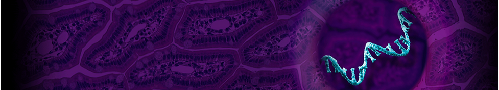 Library Prep Kits | xpertgen