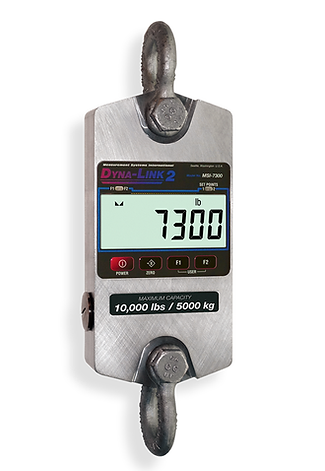 Crane Scales & Dynamometers | Ancoma Scales