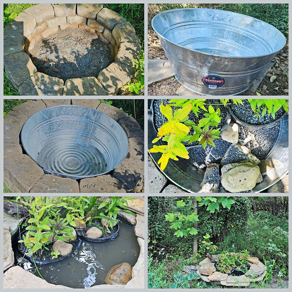 How to Make a Wildlife Container Pond