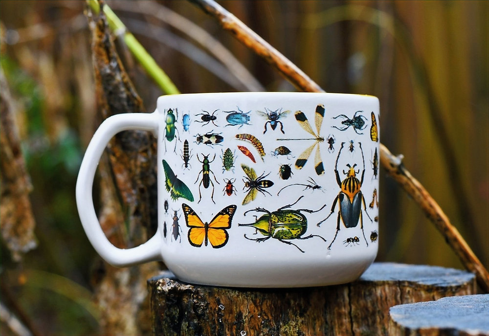 Nature Focused Gift Ideas