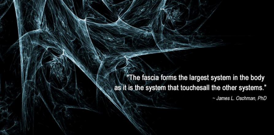 The Fascinating Fascia