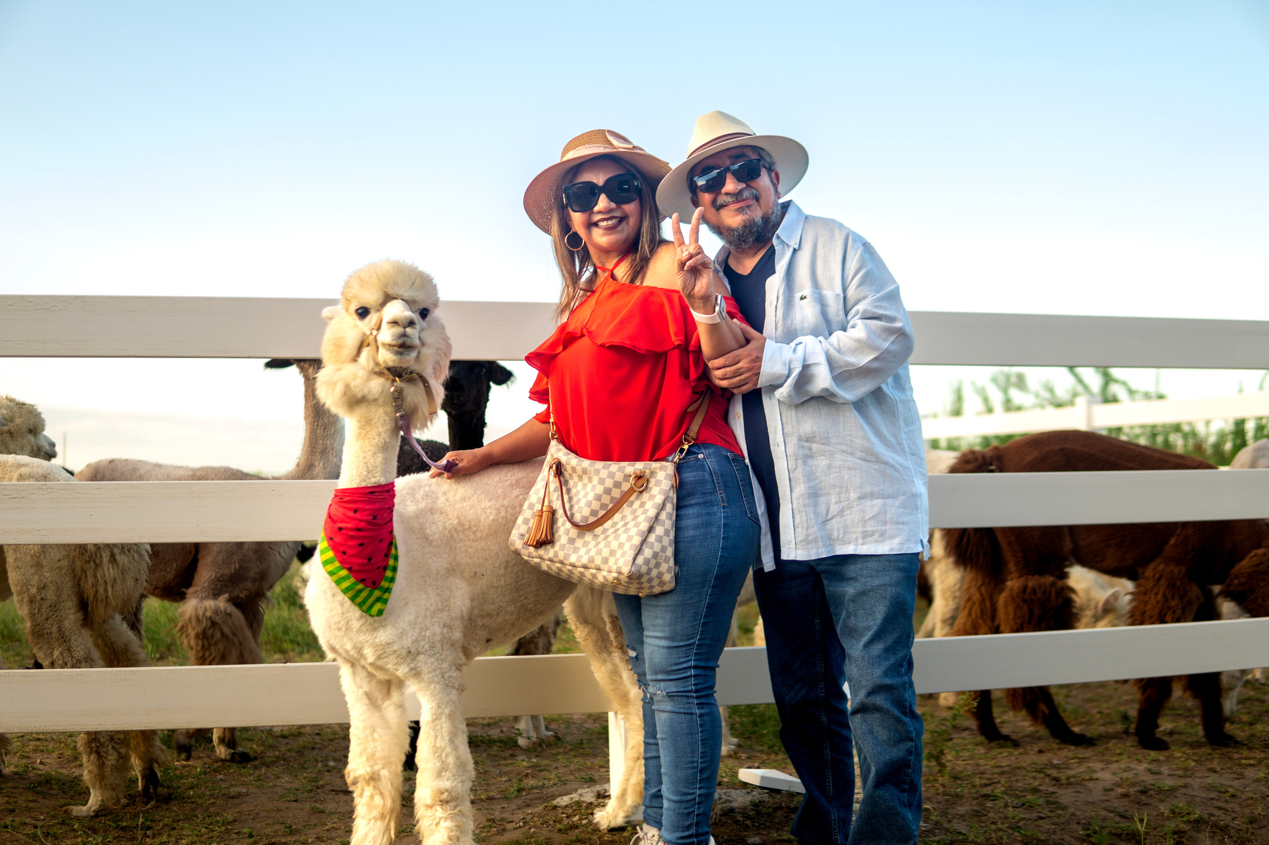 Contact | Alpaquita Ranch