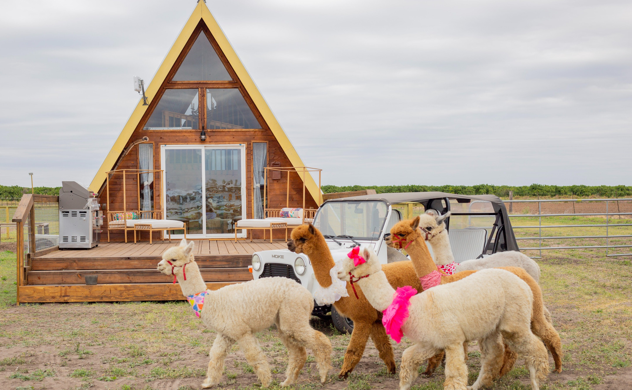 Home | Alpaquita Ranch Texas