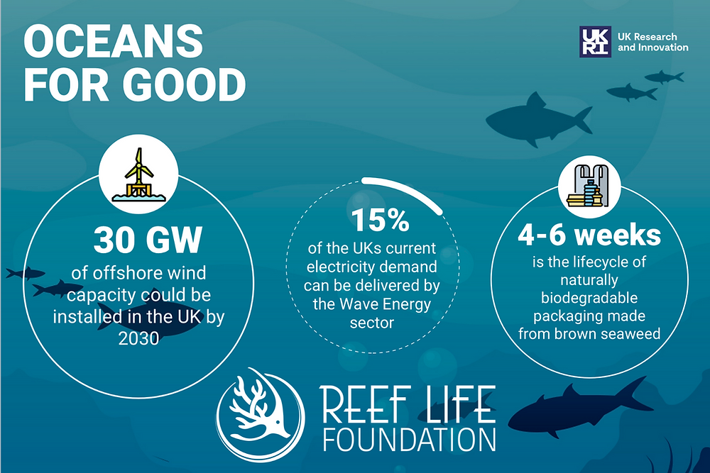Putting the "Good" Back in Oceans