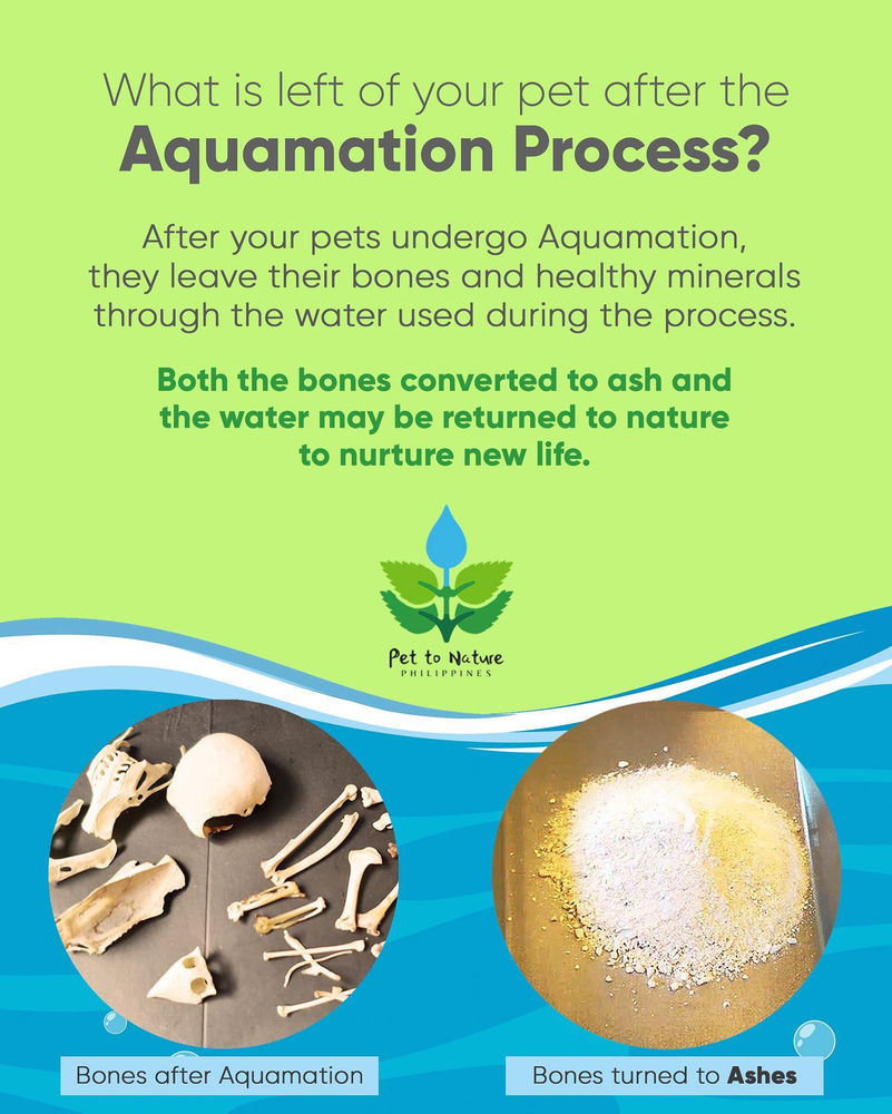 What is left of your pet after the Aquamation process?