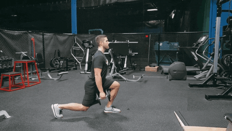 Legs Exercises for beginners with dumbbells