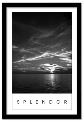 SPLENDOR | $280 | TributeStudios