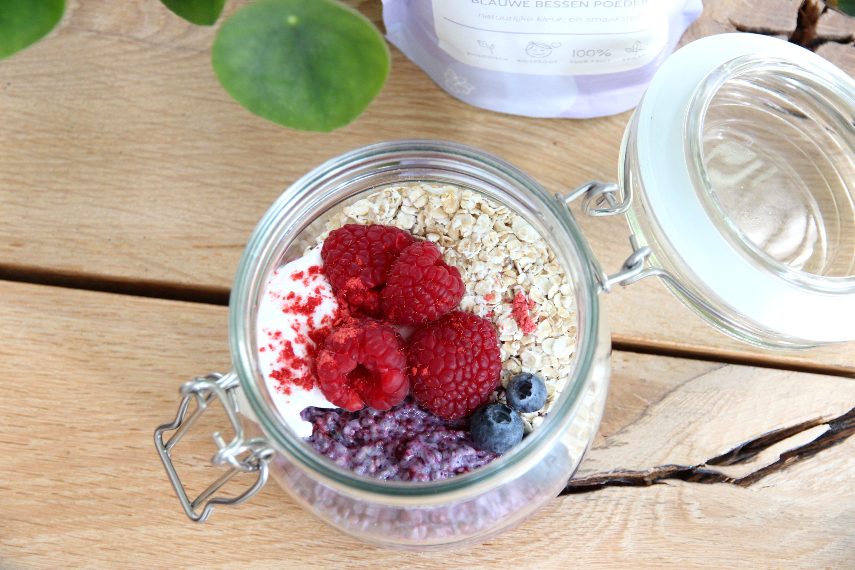 Chiazaad pudding met fruitpoeder | Okae for Kids