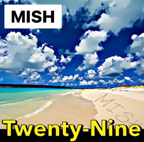 MISH 1st Album【Twenty-Nine】 | MISH