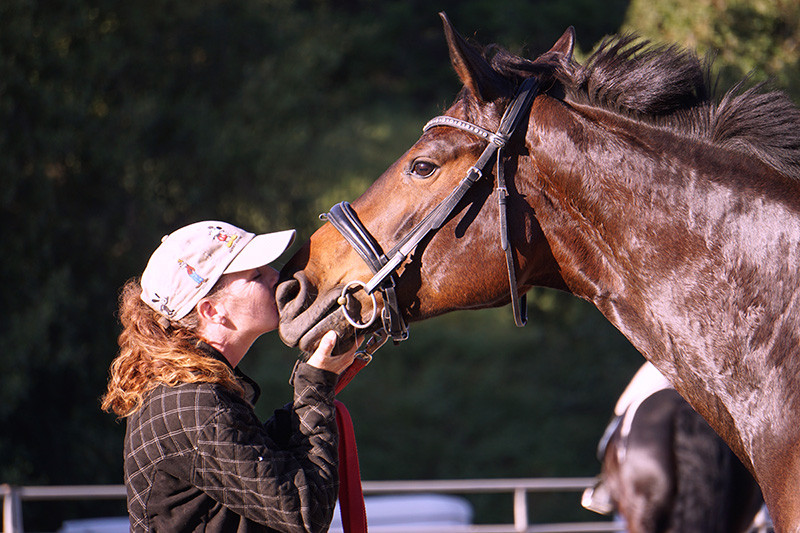 Tricia Yates Training, Tricia Yates Novato CA, Horsemanship, Dressage