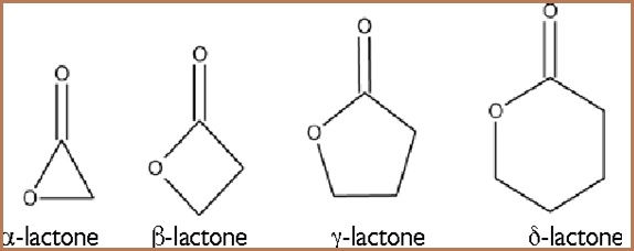 Fundamentals of LACTONE