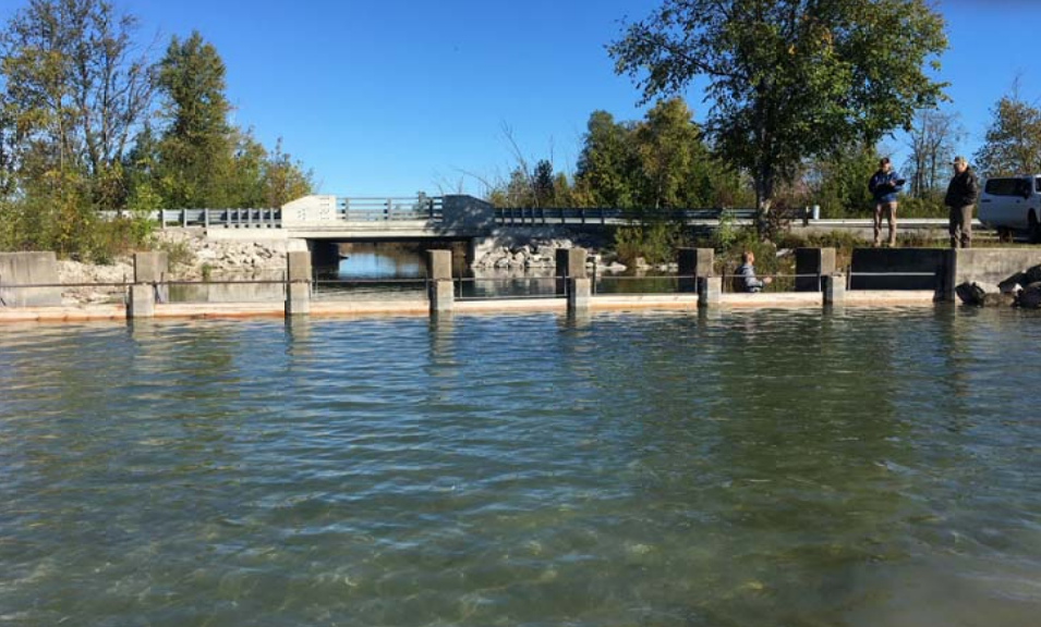 Grand Lake | Presque Isle Lakes