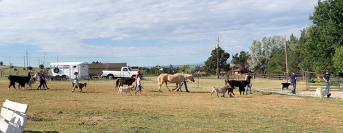 All Products | Edwards Foundation