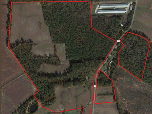 Whitetail Deer Property Plan | The Parcel Planner