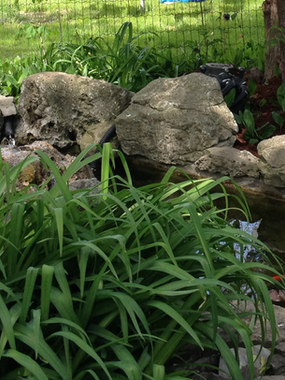 Landscaper | Earth Angel Landscaping And Property Maintenance