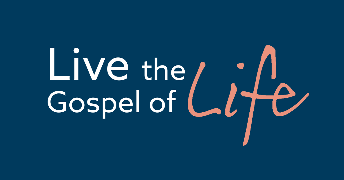 The Gospel of Life | Resources