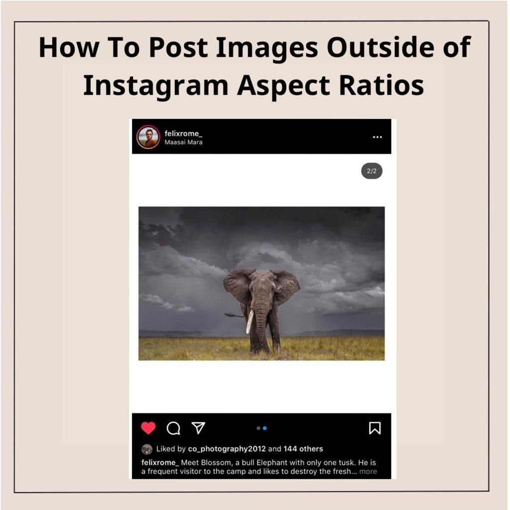 09. Understanding Instagram Aspect Ratios