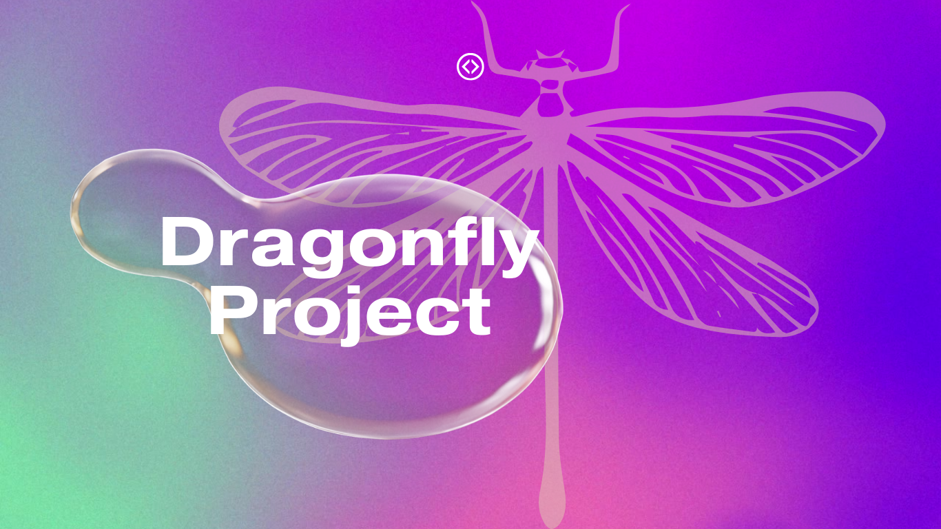 dragonfly project
