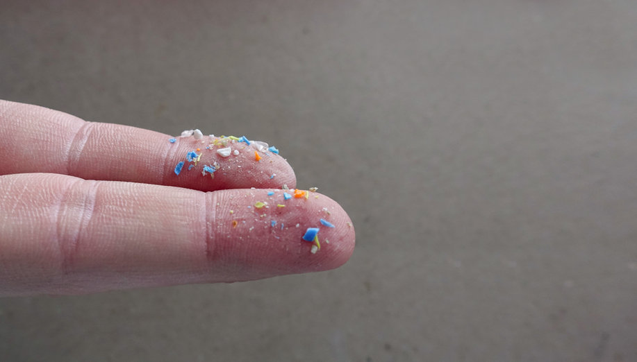 Microplastics and the food chain