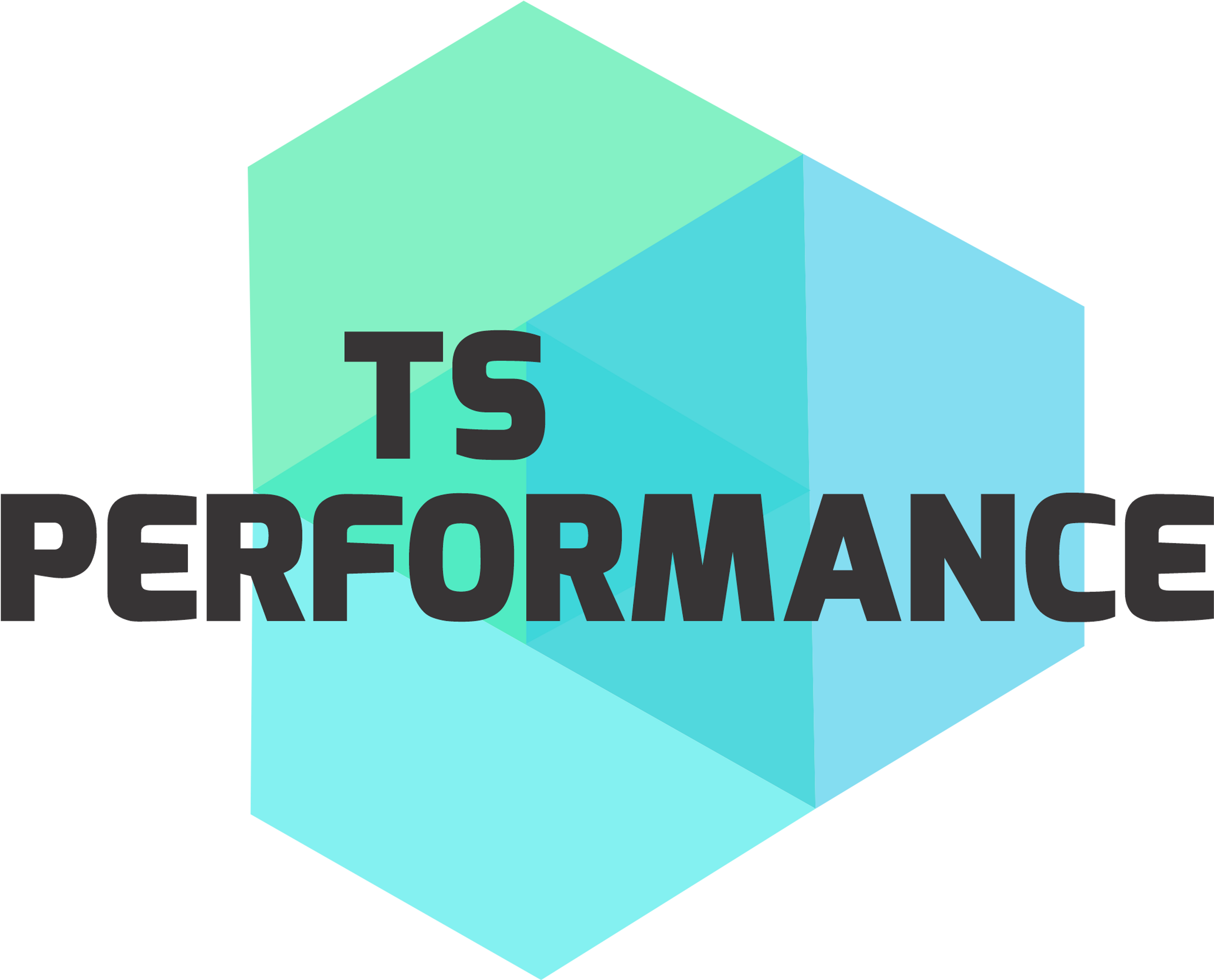 Treinamento e Estratégia Comercial | TS Performance