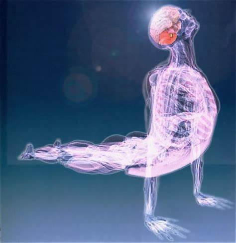 Unlocking the Connection: Fascia and the (Sensory) Nervous System; How ...