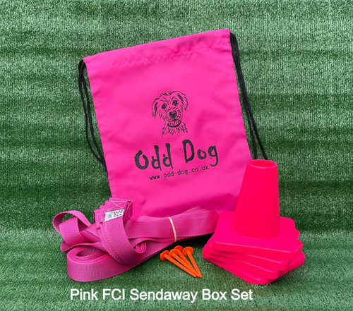 FCI Cones & Sendaway Box Set | Odd Dog Co.