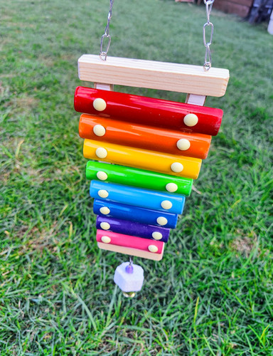 Chicken Xylophone | Rosewood Chooks