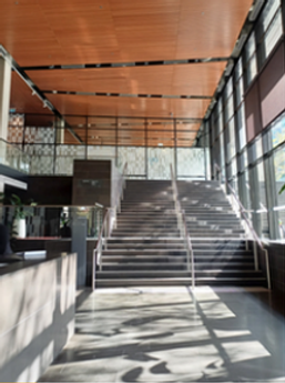 Getting to 655 Collins Street Docklands | APIC Student Hub