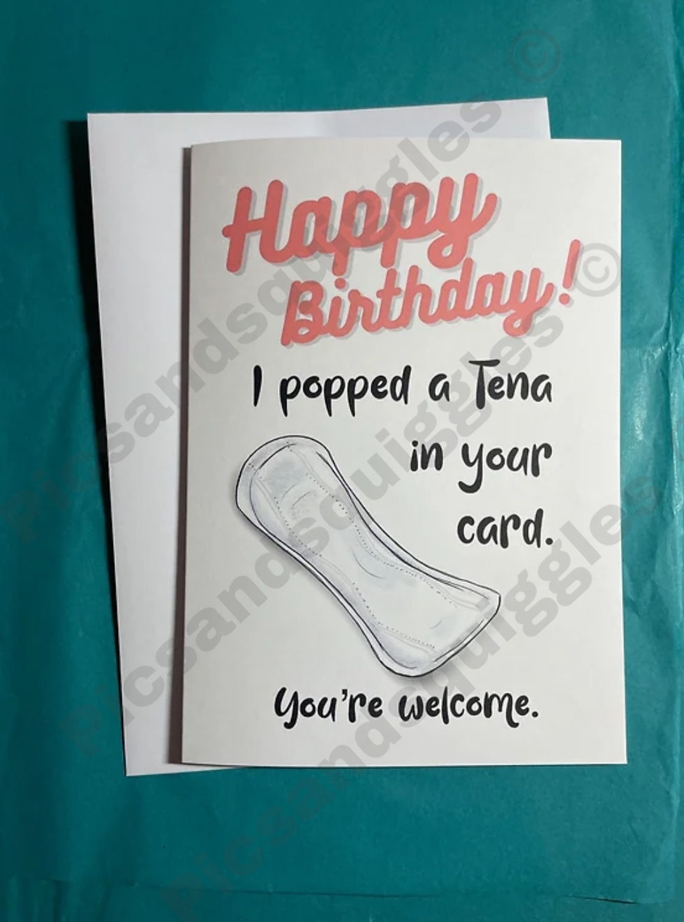 Rude and Funny Tena Birthday Card by Pics and Squiggles