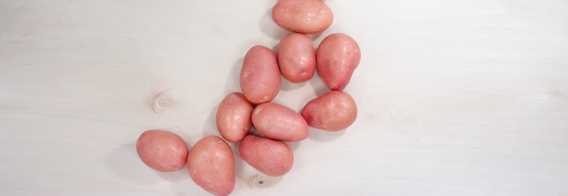 Seed Potatoes
