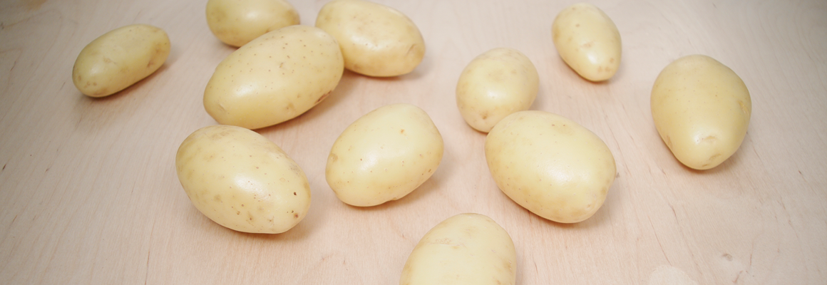 Seed Potatoes