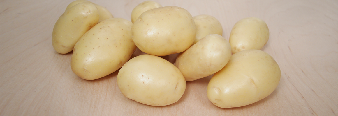 Seed Potatoes